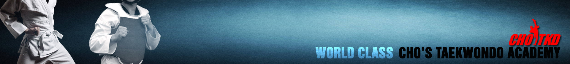 CHO'S TAEKWONDO ACADEMY – Master Cho's World class TaeKwondo