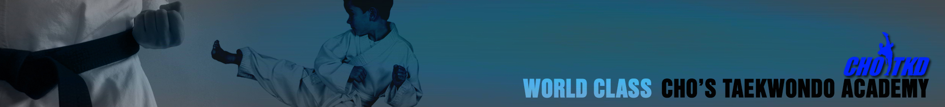 CHO'S TAEKWONDO ACADEMY – MASTER CHO'S WORLD CLASS TAEKWONDO